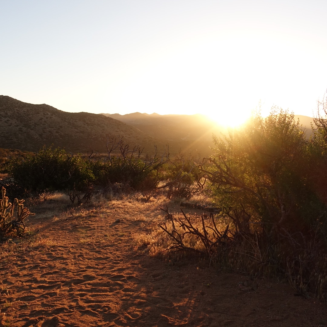 Day 7 – Third Gate Water Cache to Warner Springs, mile 109 – The world ...